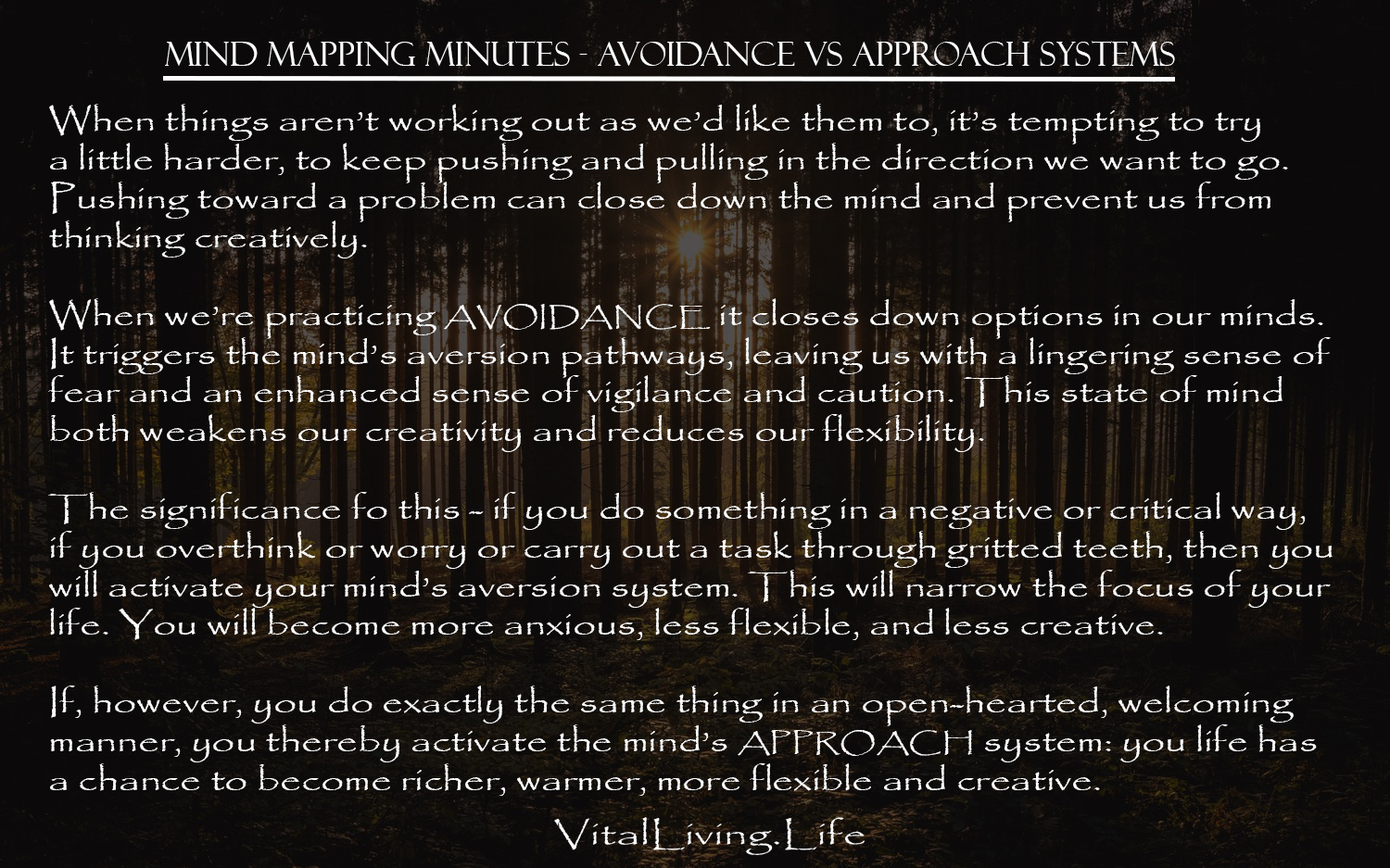 Mind Mapping Minutes – Avoidance vs Approach Systems – Vital Living Life