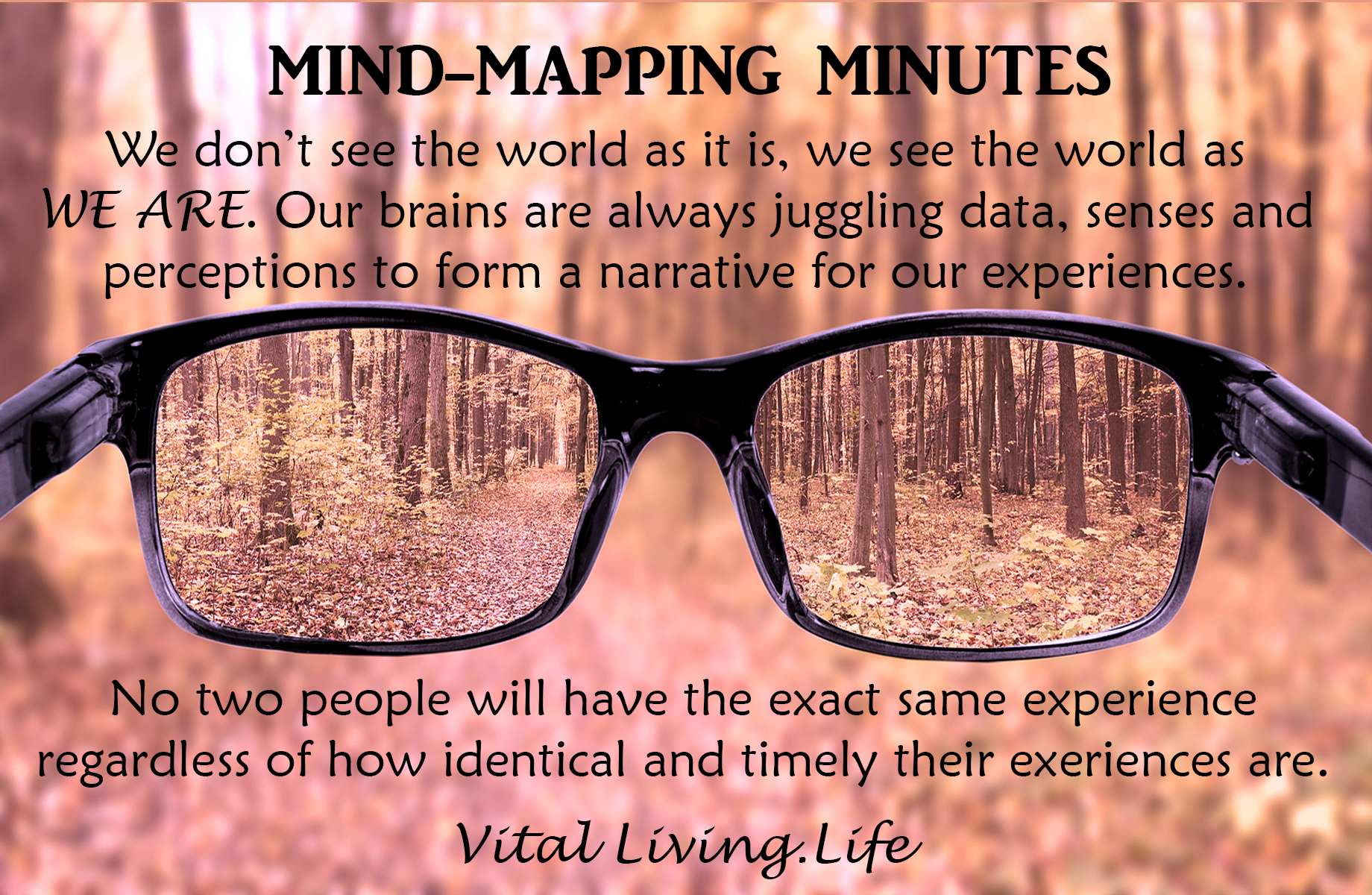 Mind Mapping Minutes – Our Perceptions Form Our Realities – Vital ...